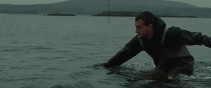 Picture of God's Creatures