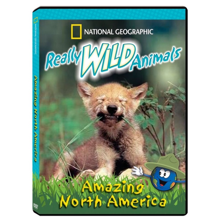 Image of Really Wild Animals: Polar Prowl (National Geographic)