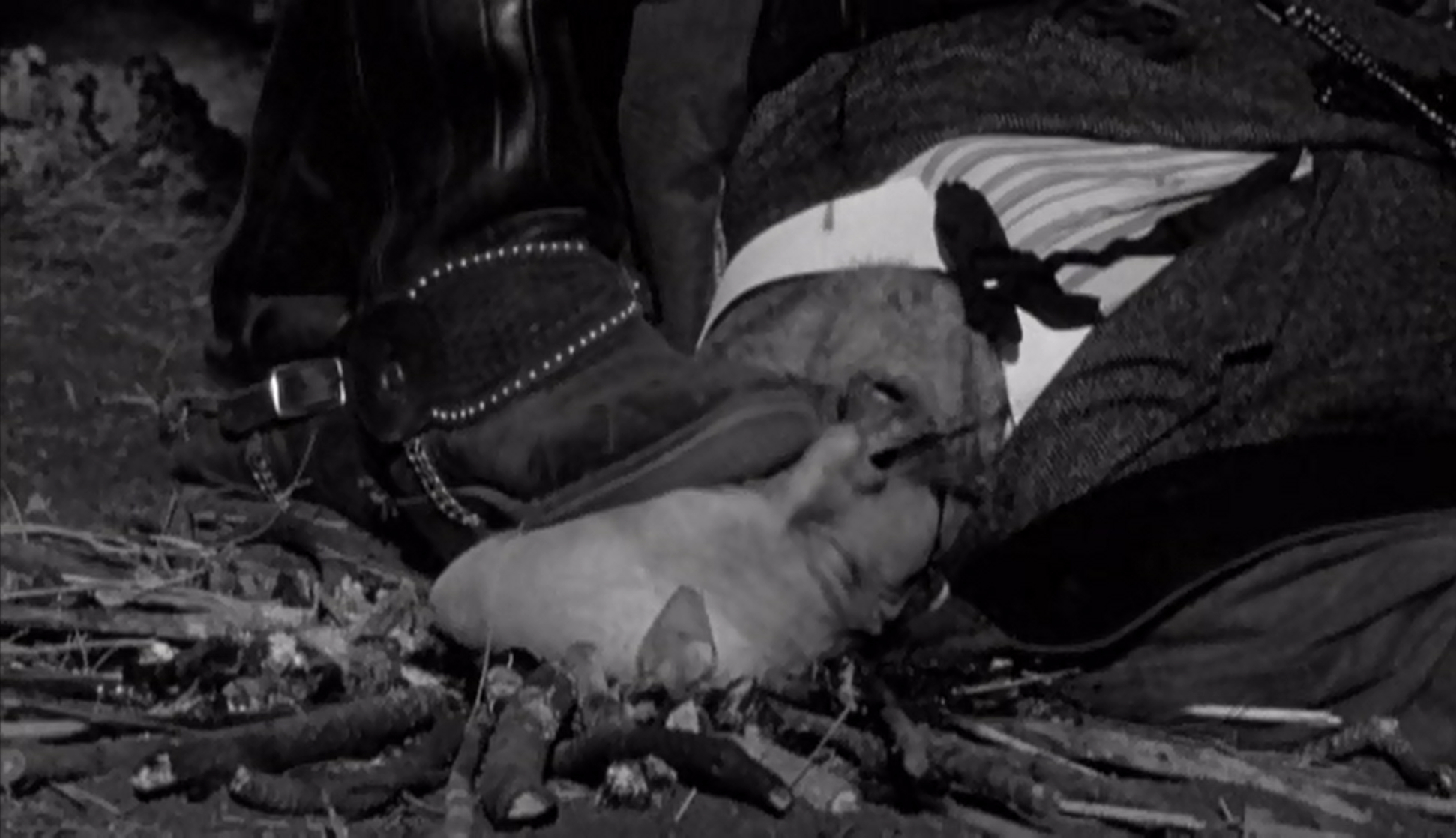 Image of Dead Man (1995)