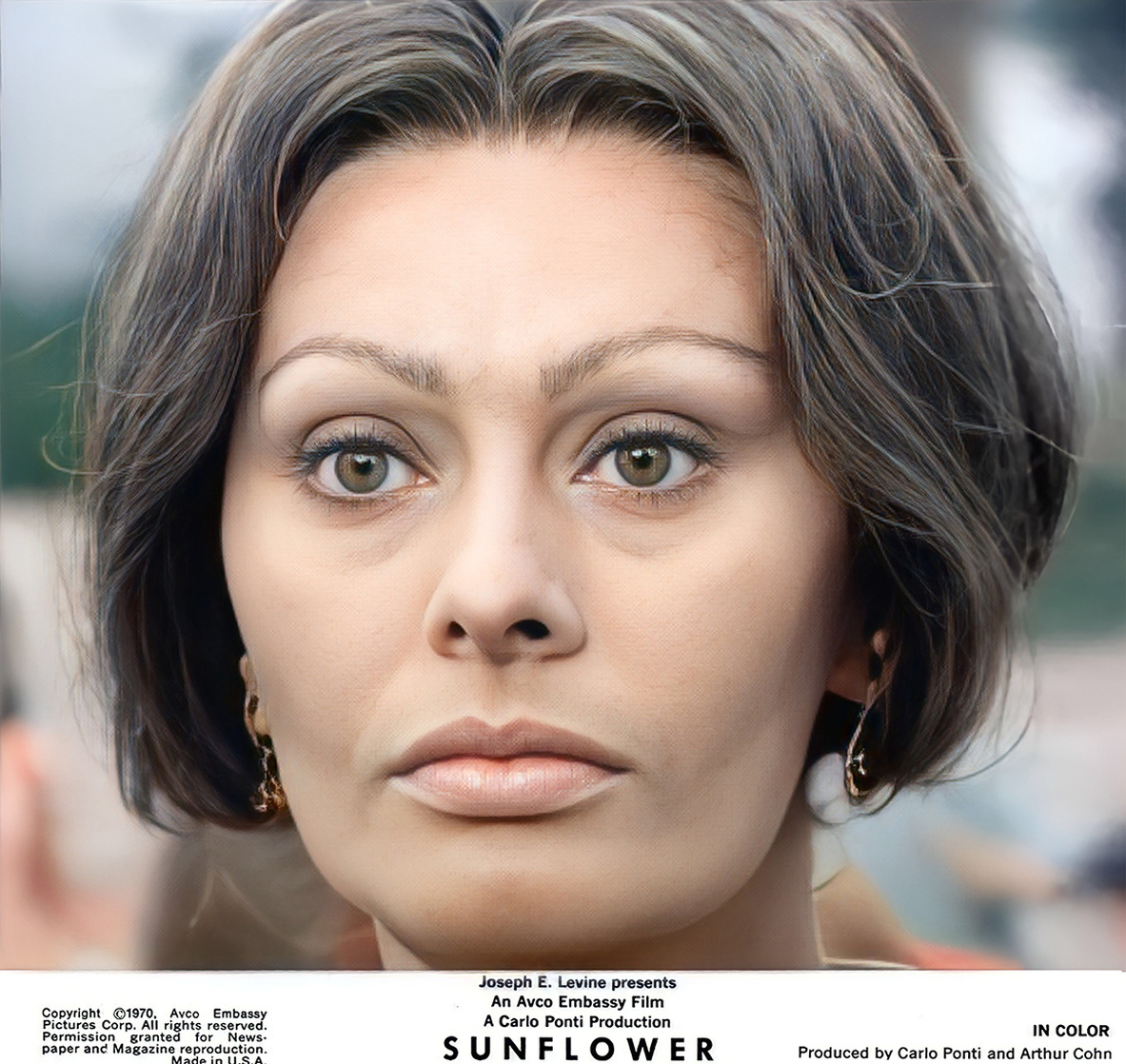 Sophia Loren