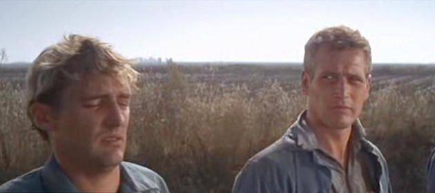 Picture of Cool Hand Luke