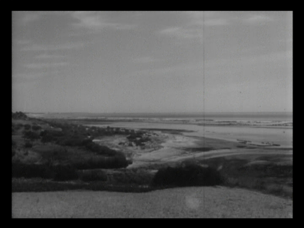 Picture of Sophia de Mello Breyner Andresen