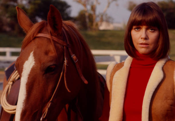 Picture of Barbara Feldon
