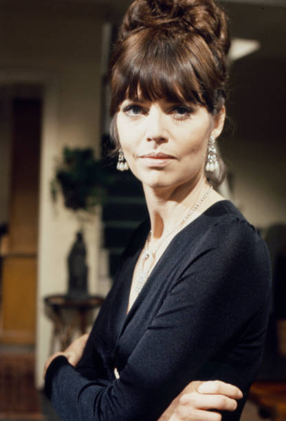 Picture of Barbara Feldon