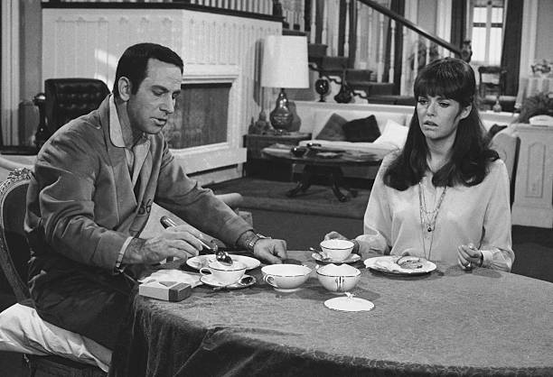 Barbara Feldon image