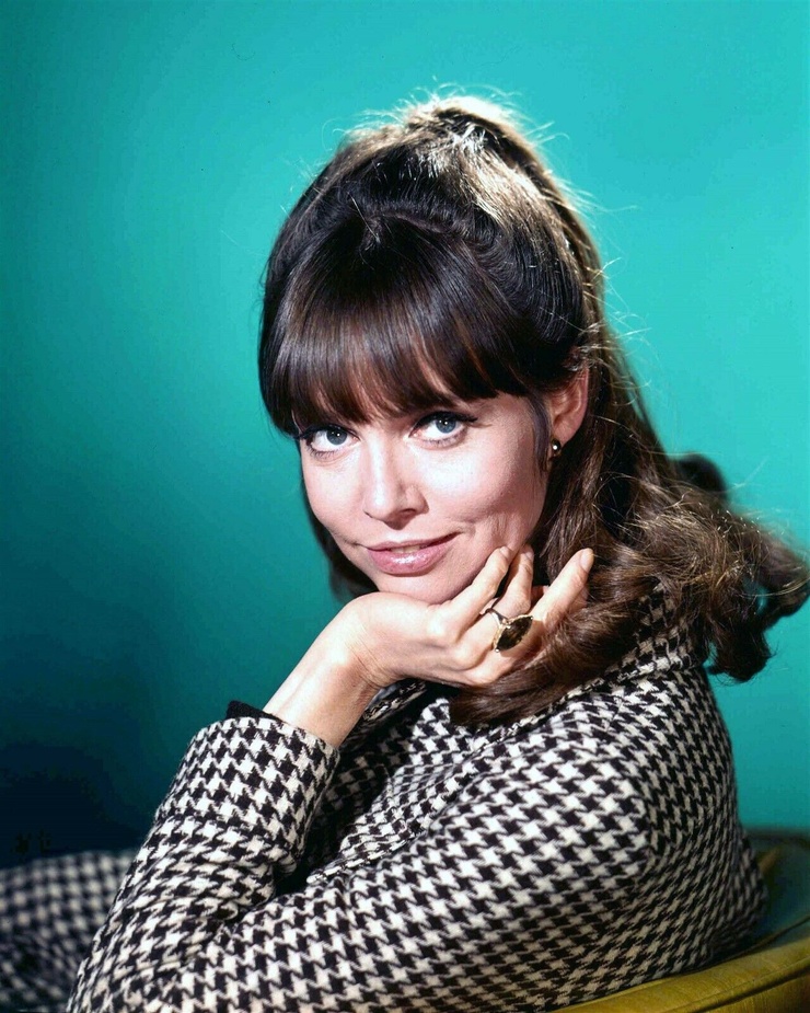 Image of Barbara Feldon