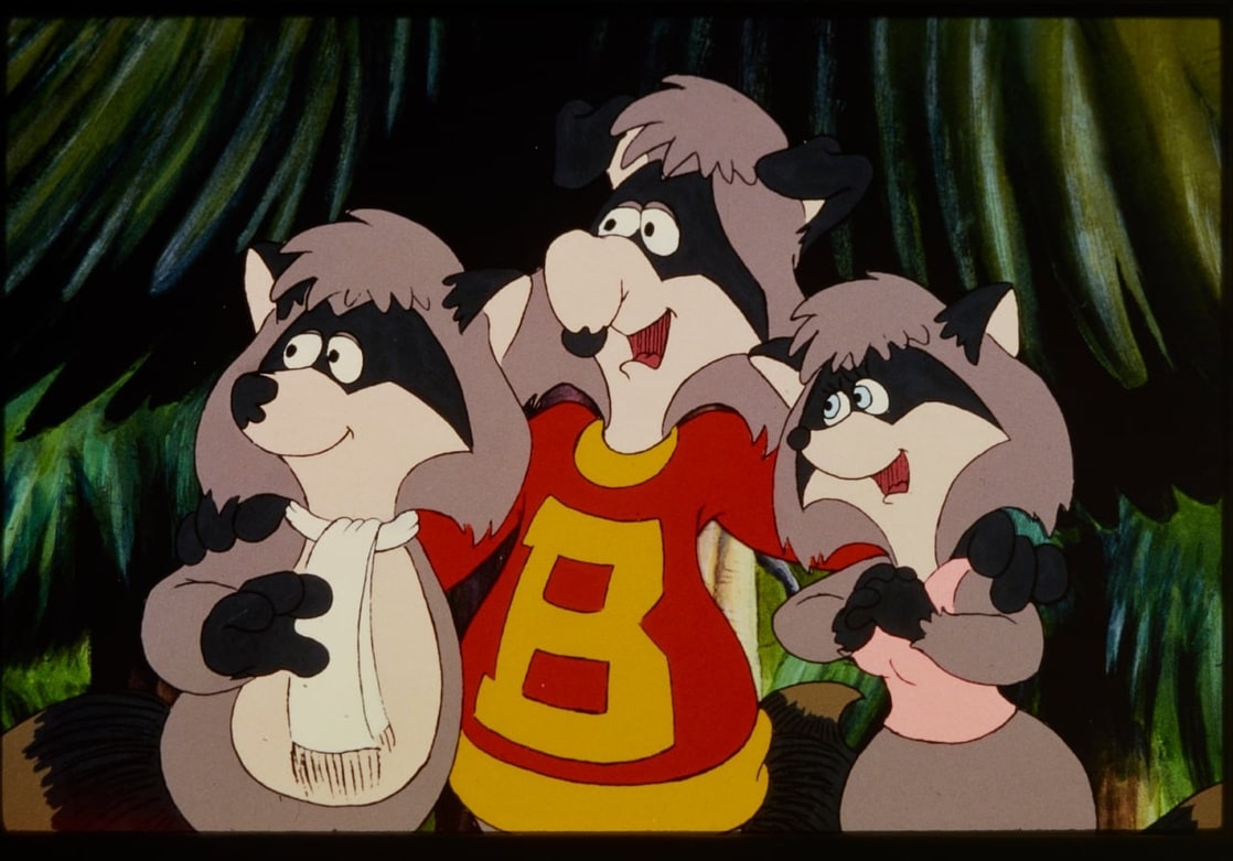 Picture of The Raccoons