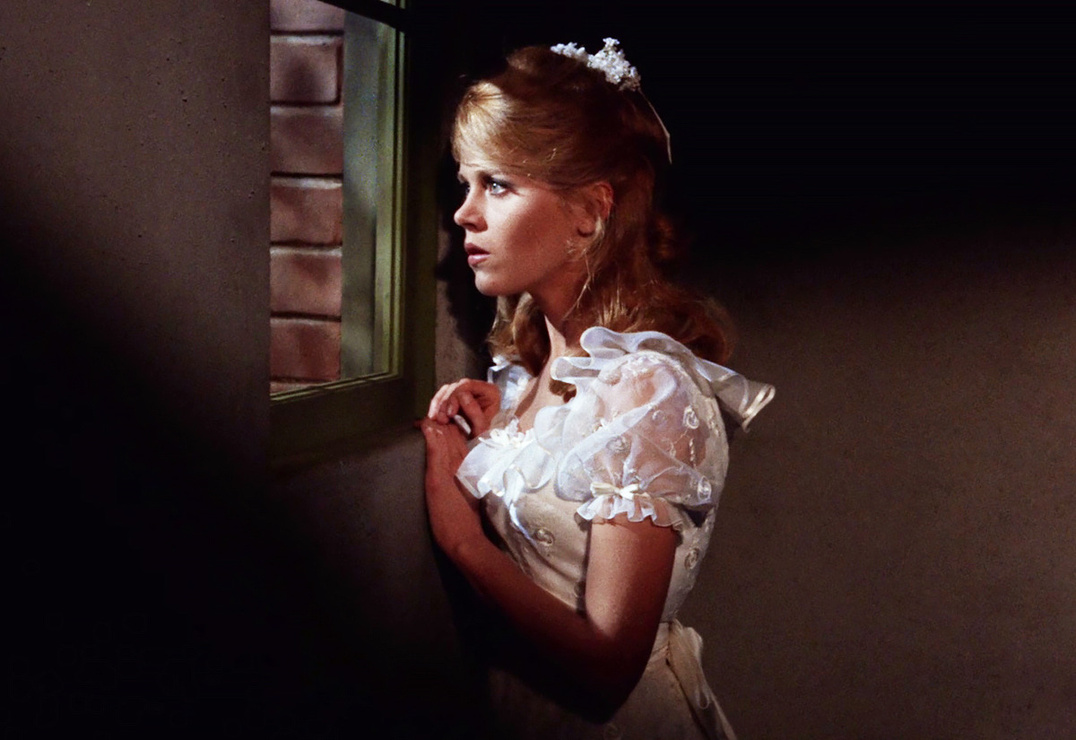 Picture of Cat Ballou