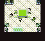 Pokémon: Red Version picture