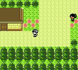 Picture of Pokemon: Silver Version