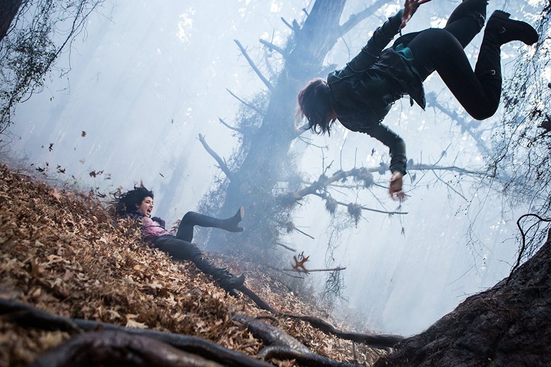 Picture of Kelly Maxwell