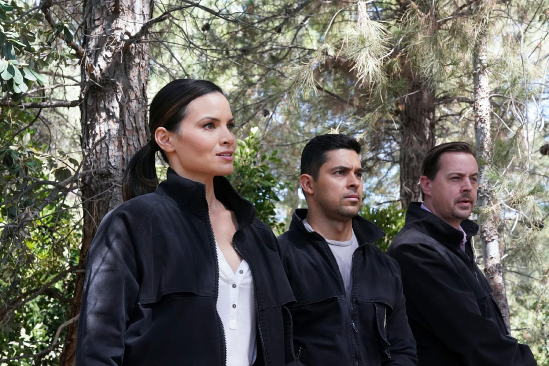 NCIS picture
