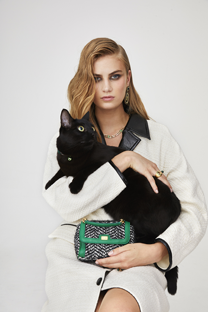 Picture of CICELY ROSE