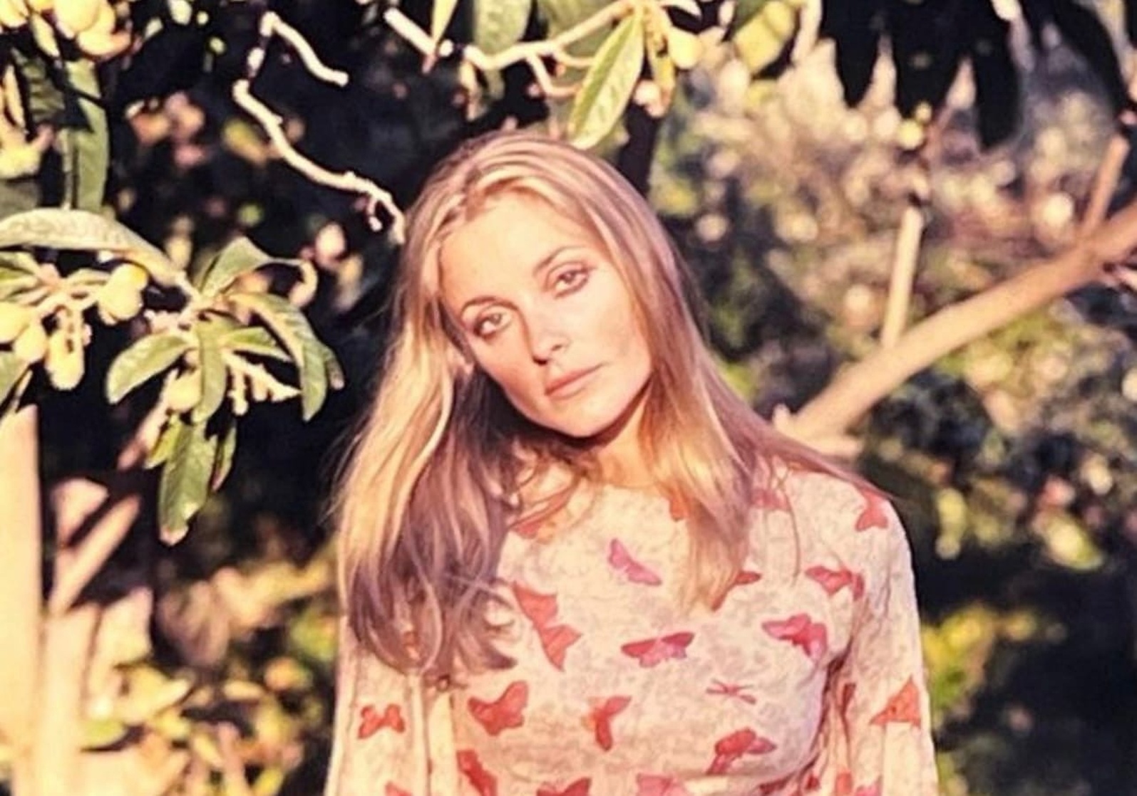Picture of Sharon Tate