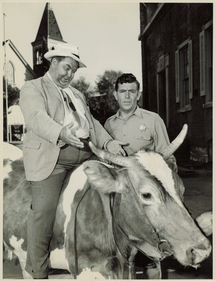 Hal Smith, Andy Griffith