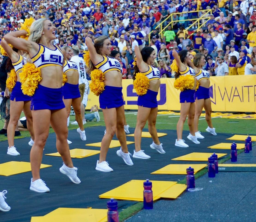 Picture of LSU Tigers Football