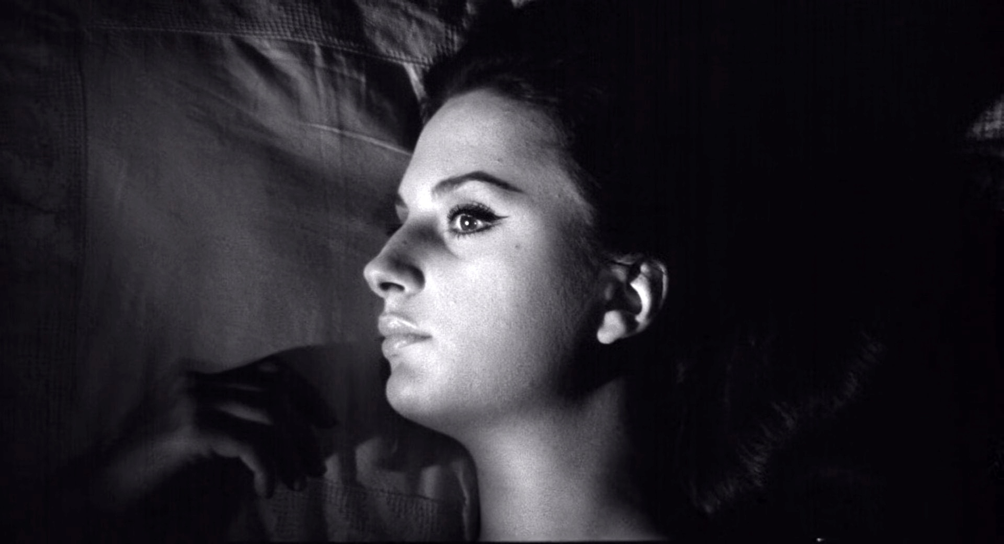 Adriana Ambesi picture