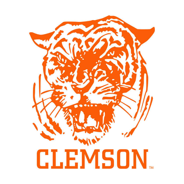 Picture of Clemson Tigers Football