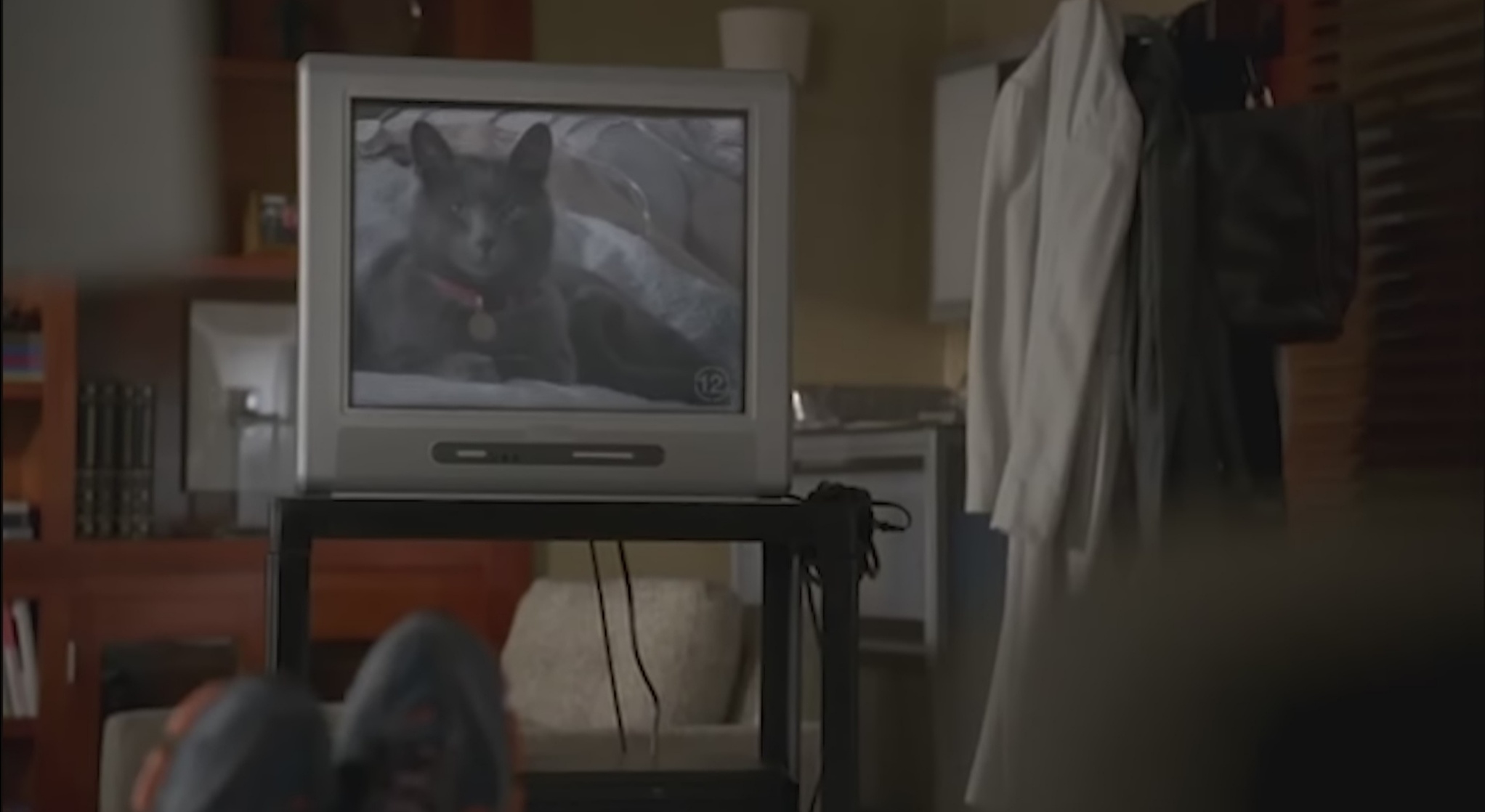 Picture of Here Kitty