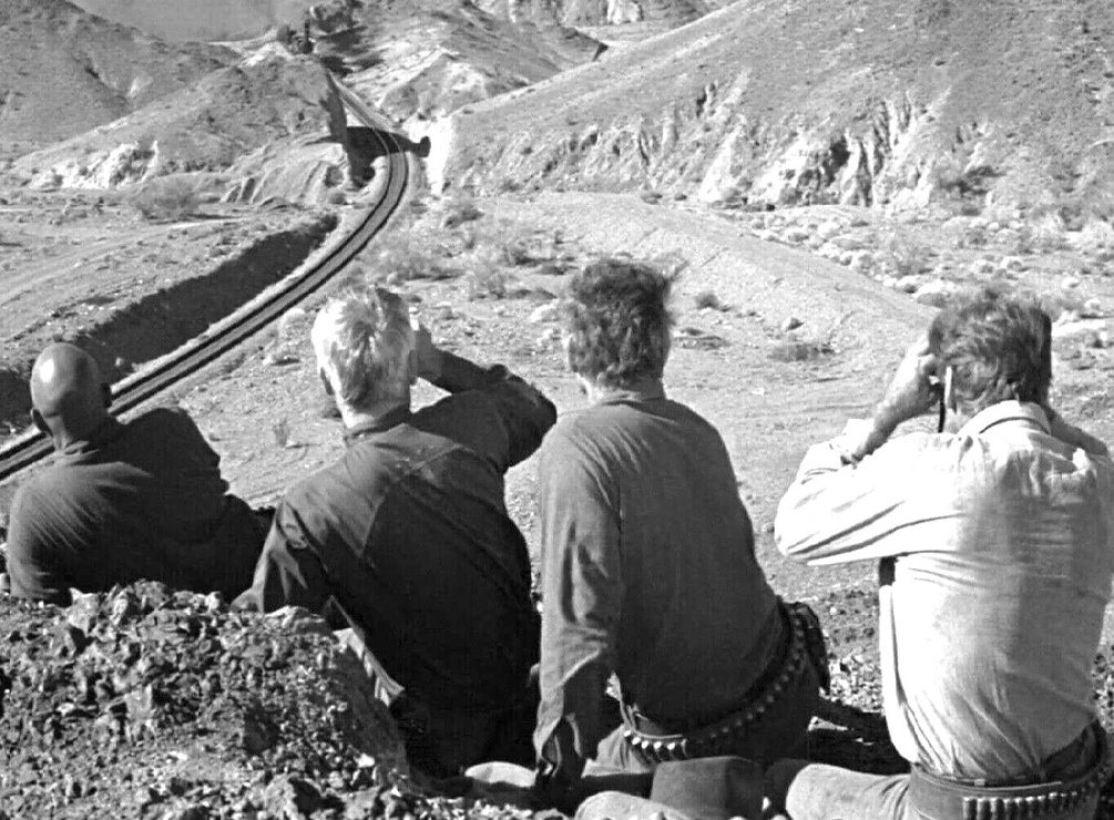 The Professionals (1966)