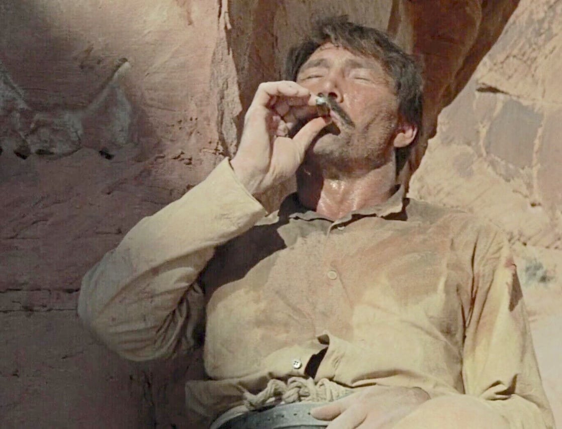 The Professionals (1966)