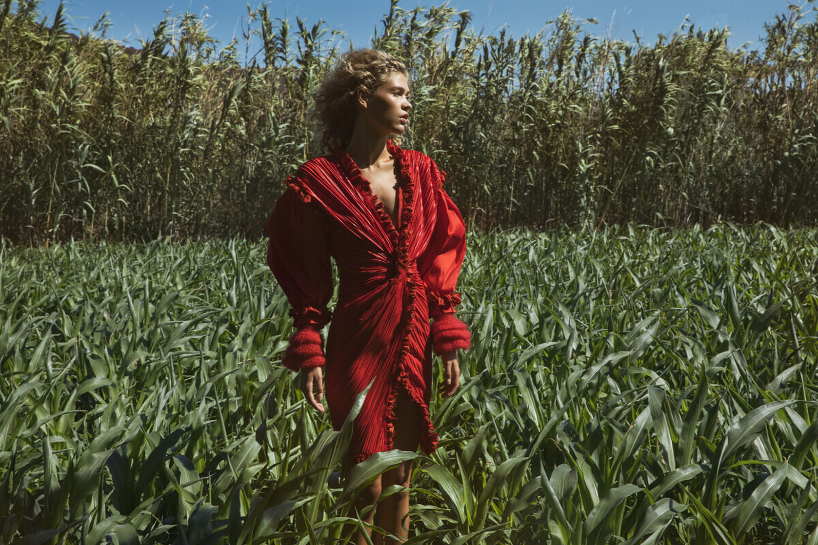 Victoria Nordmark picture