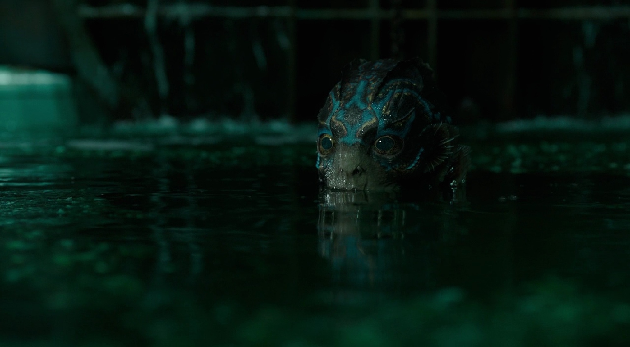Picture of The Shape of Water