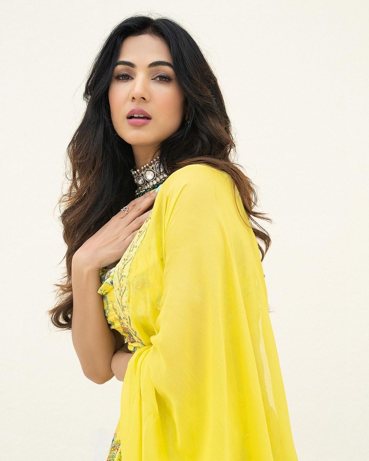 Picture of Sonal Chauhan