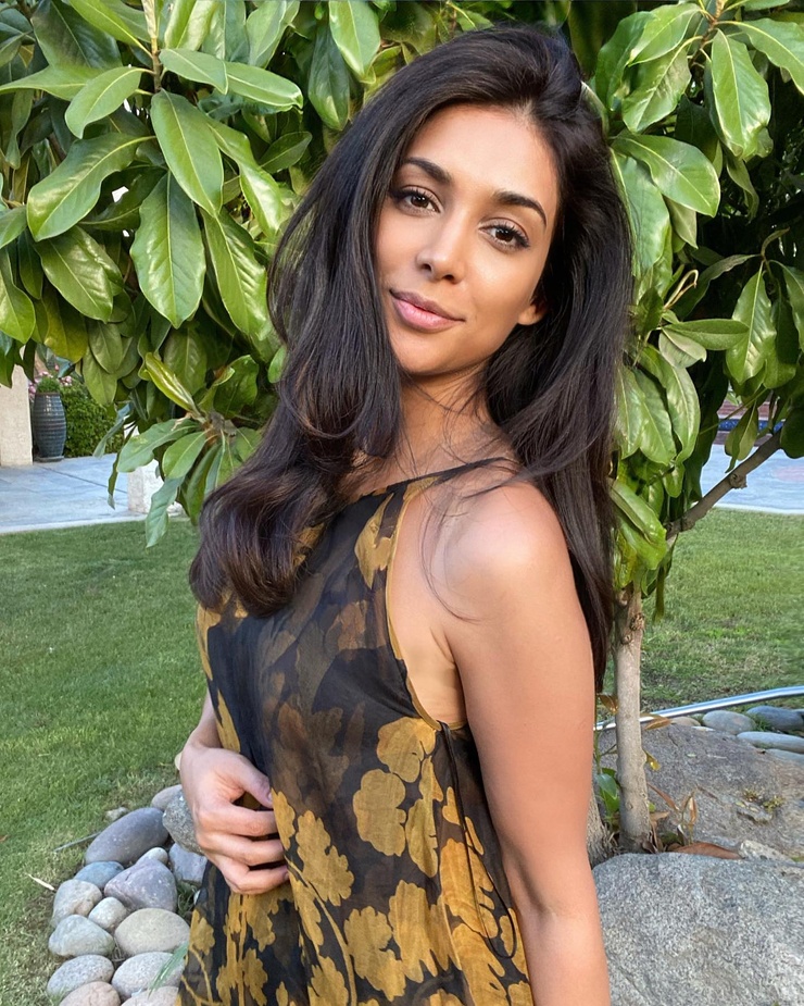 Preeti Desai picture