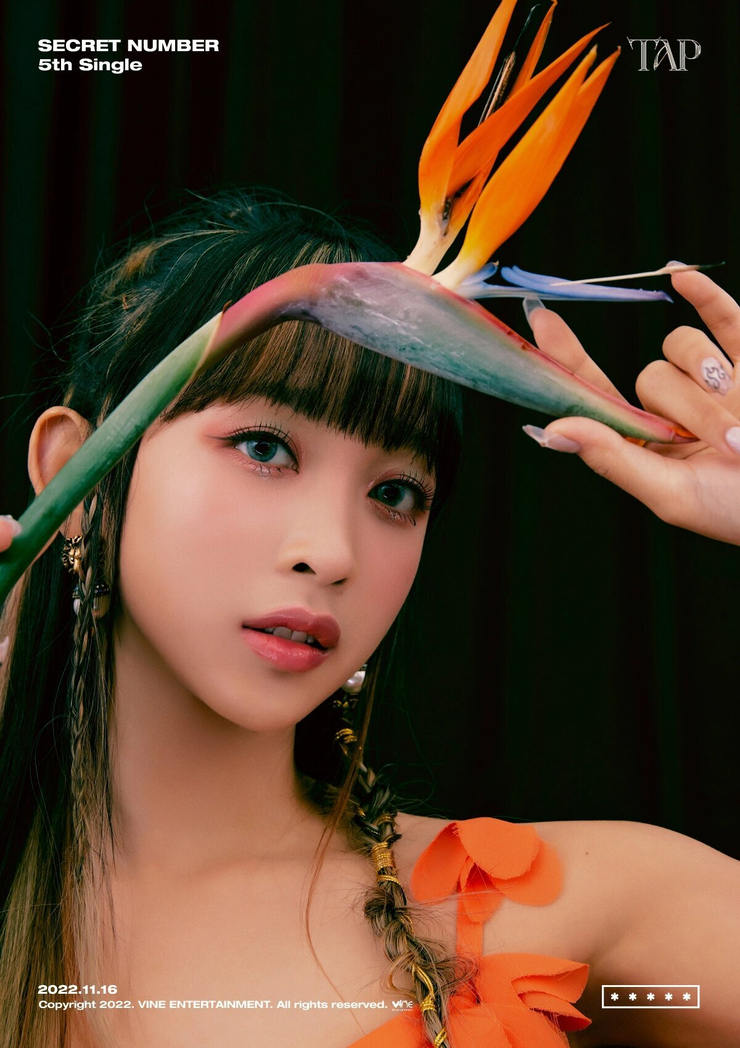 SECRET NUMBER picture