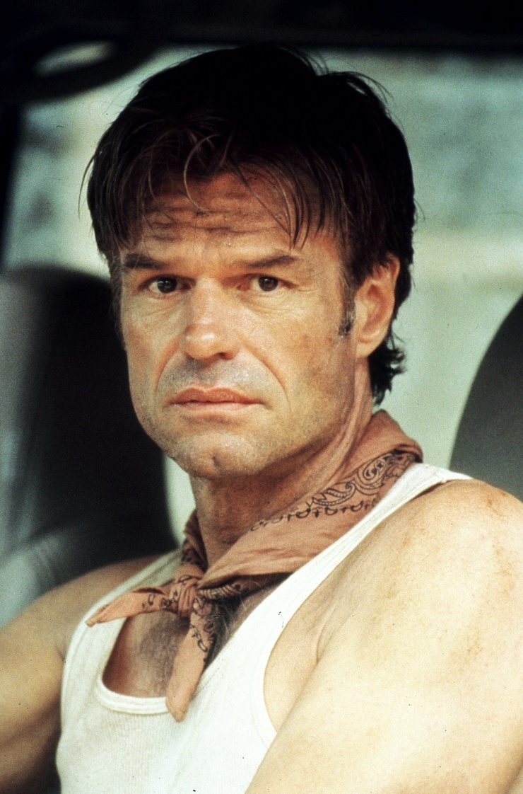 Picture of Disappearance