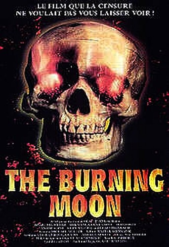 Picture of The Burning Moon