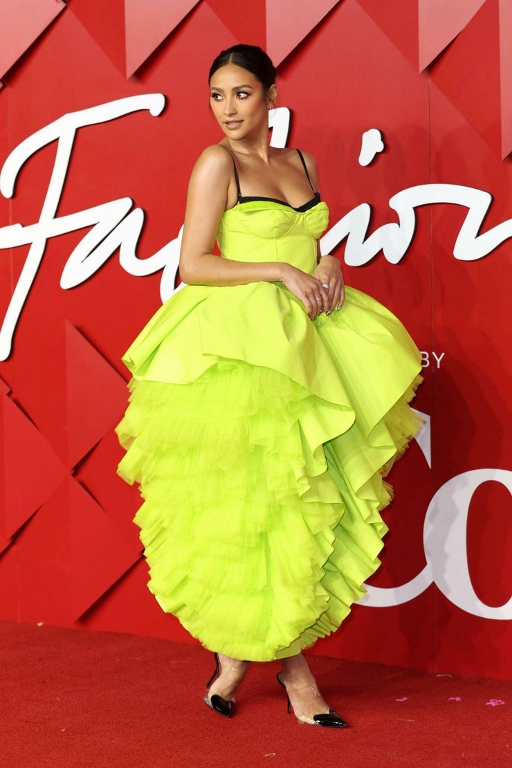 Picture of Shay Mitchell