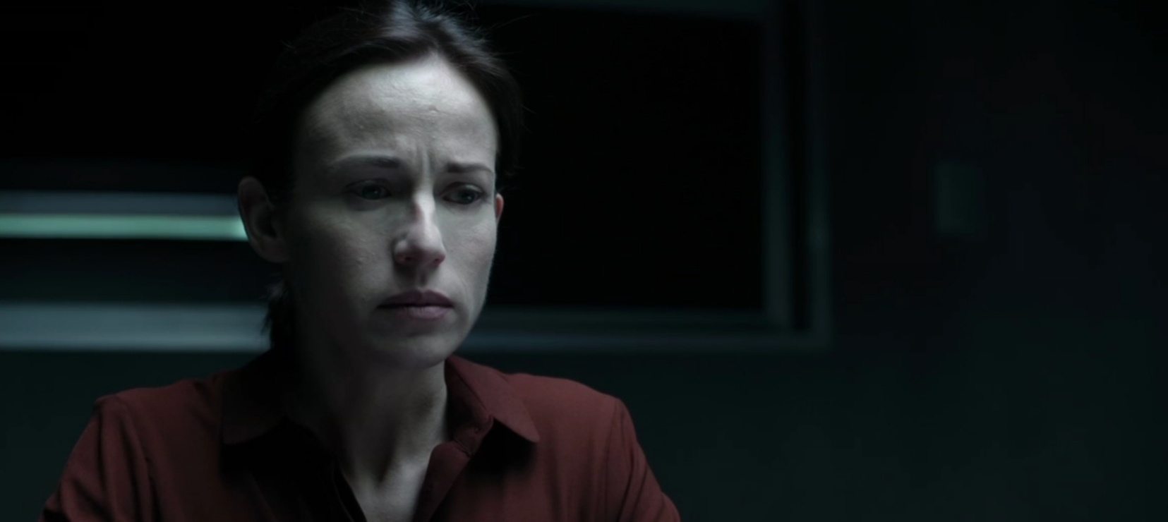 Picture of The Invisible Guardian