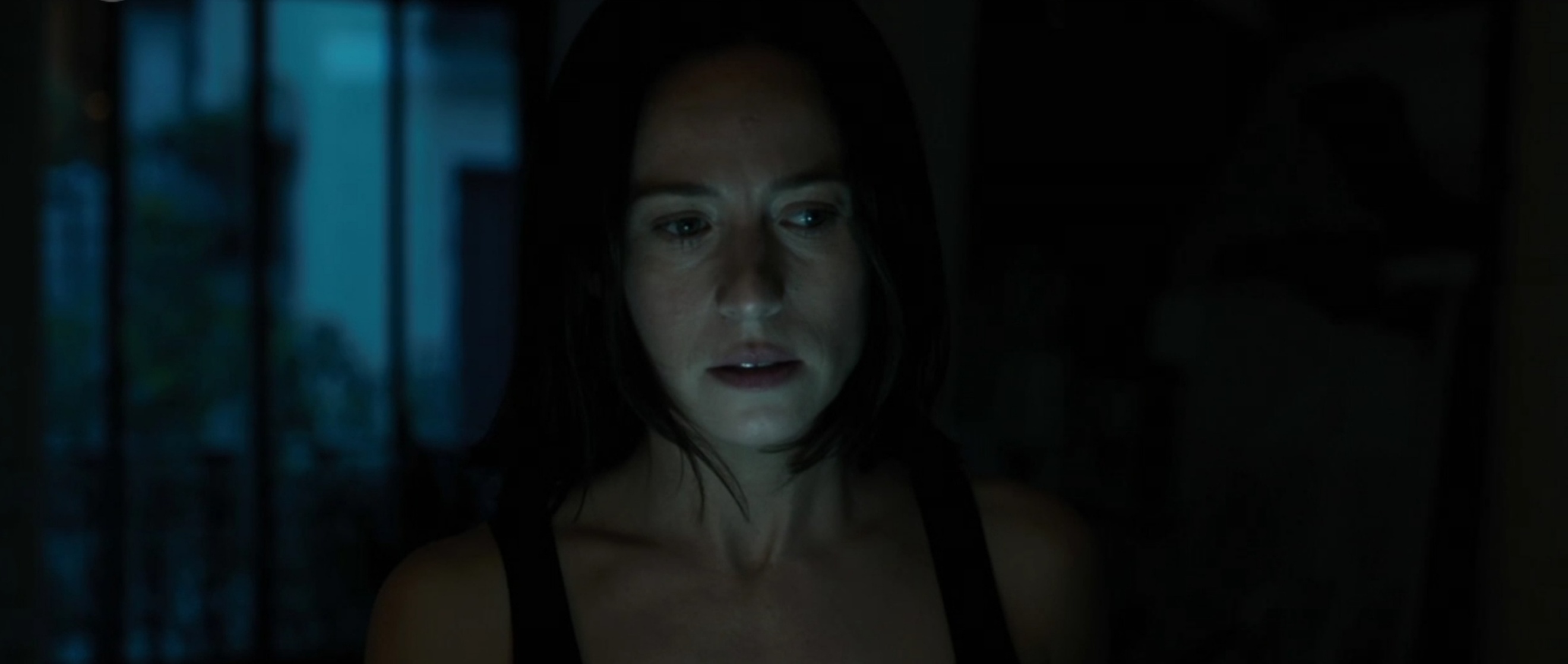 Picture of The Invisible Guardian