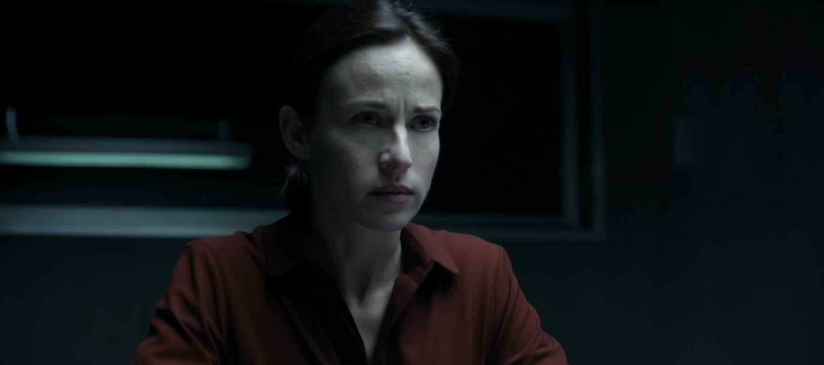 The Invisible Guardian image