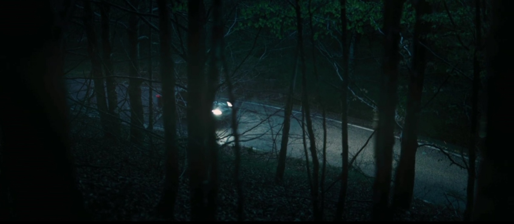 Picture of The Invisible Guardian