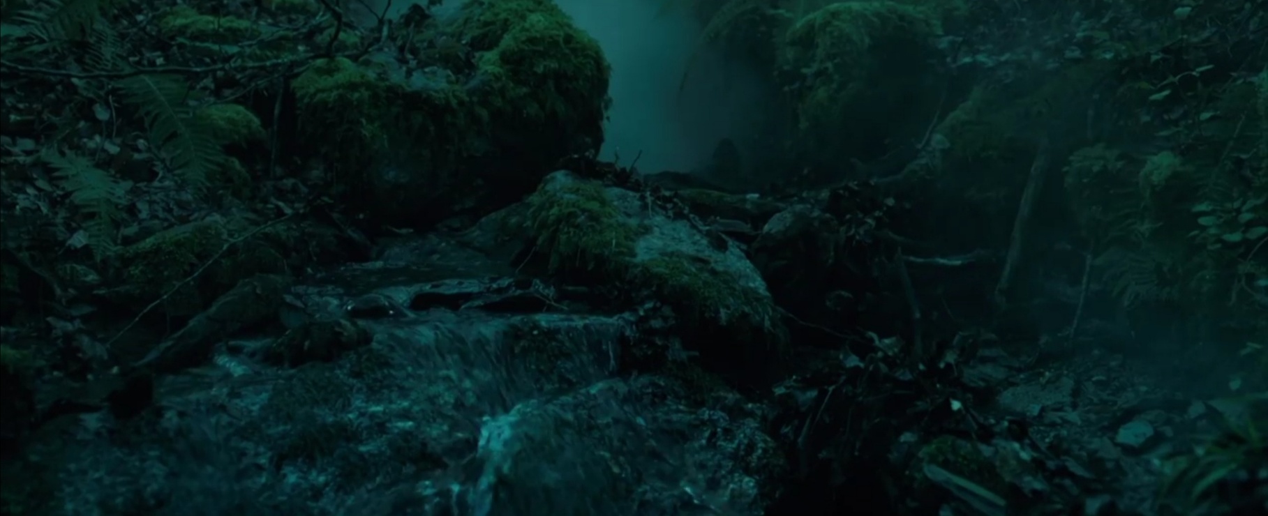 Picture of The Invisible Guardian