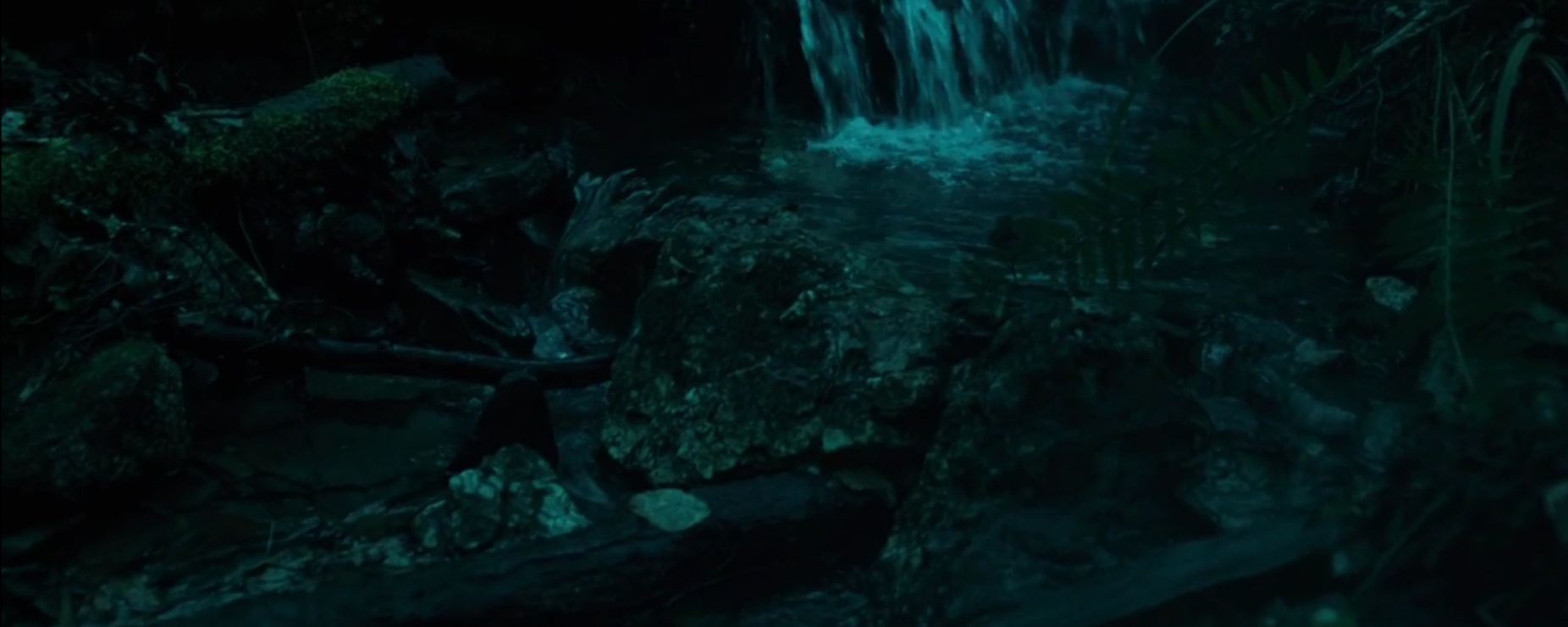 Picture of The Invisible Guardian