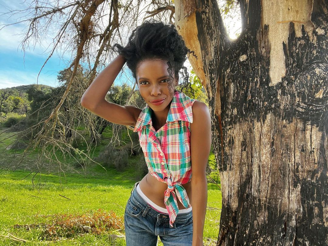 Picture of Minolta Araya