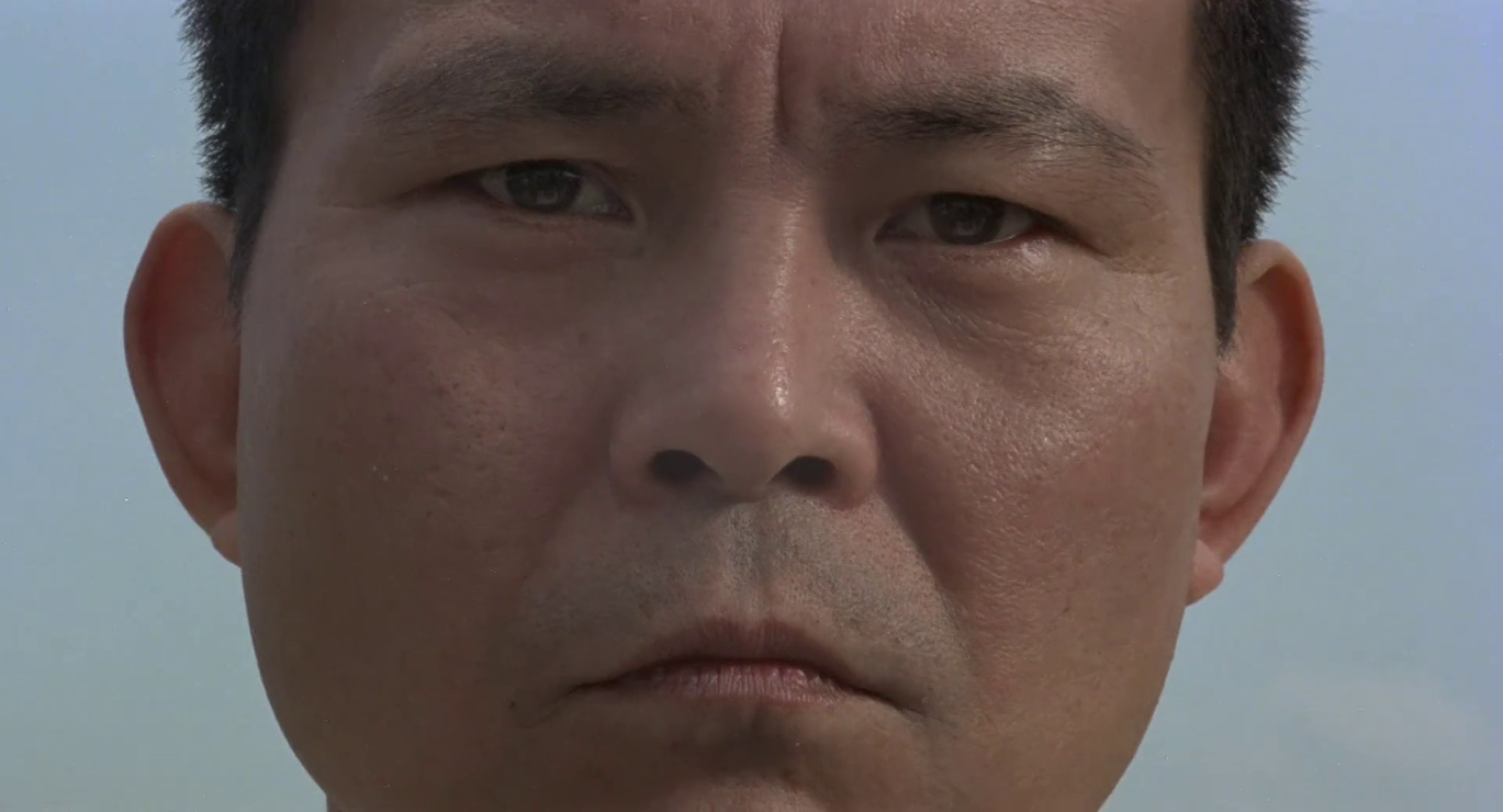 Picture of The Far Road