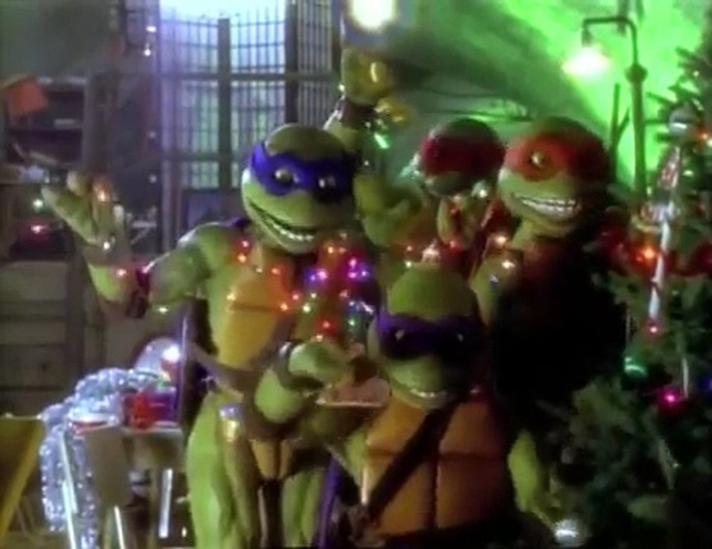 Picture of We Wish You a Turtle Christmas