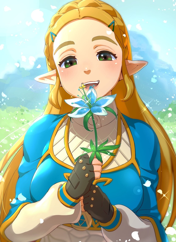 Picture of Princess Zelda (Breath of the Wild)