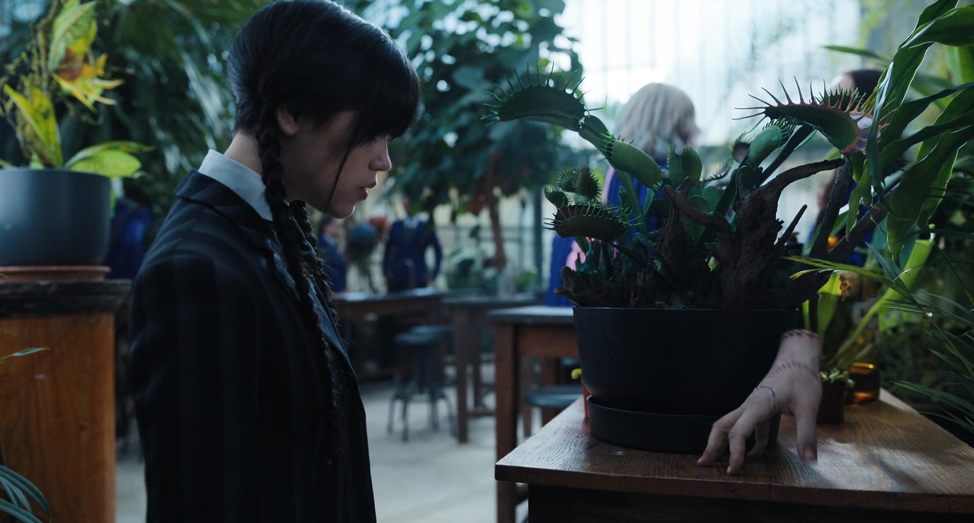 Picture of Thing (Victor Dorobantu)