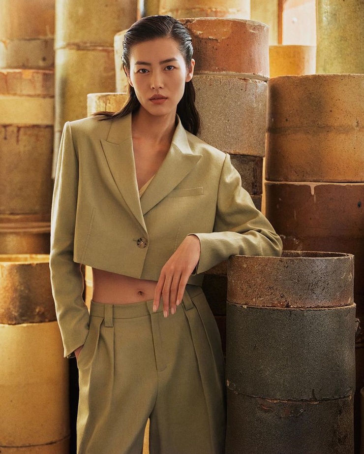 Image of Liu Wen