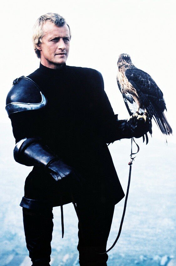 Picture of Ladyhawke