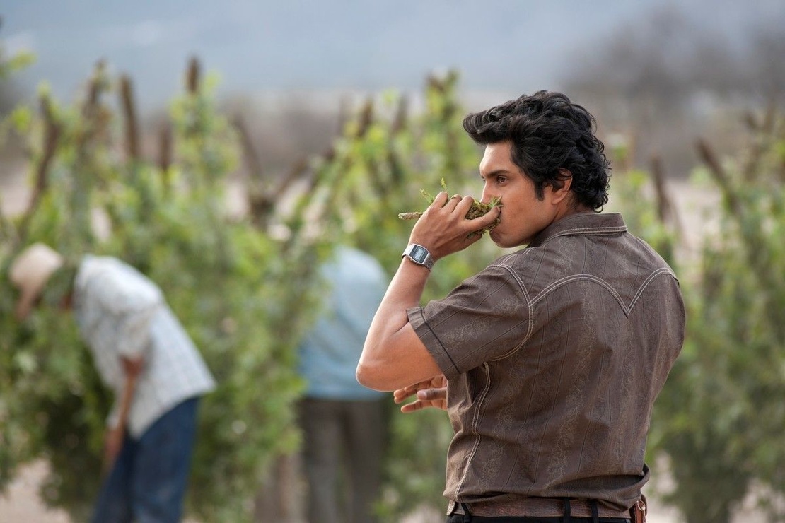 Picture of Narcos: Mexico