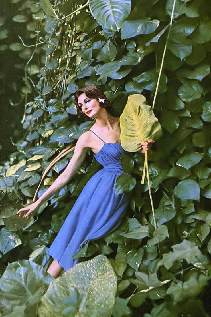 Picture of Carmen Dell'Orefice