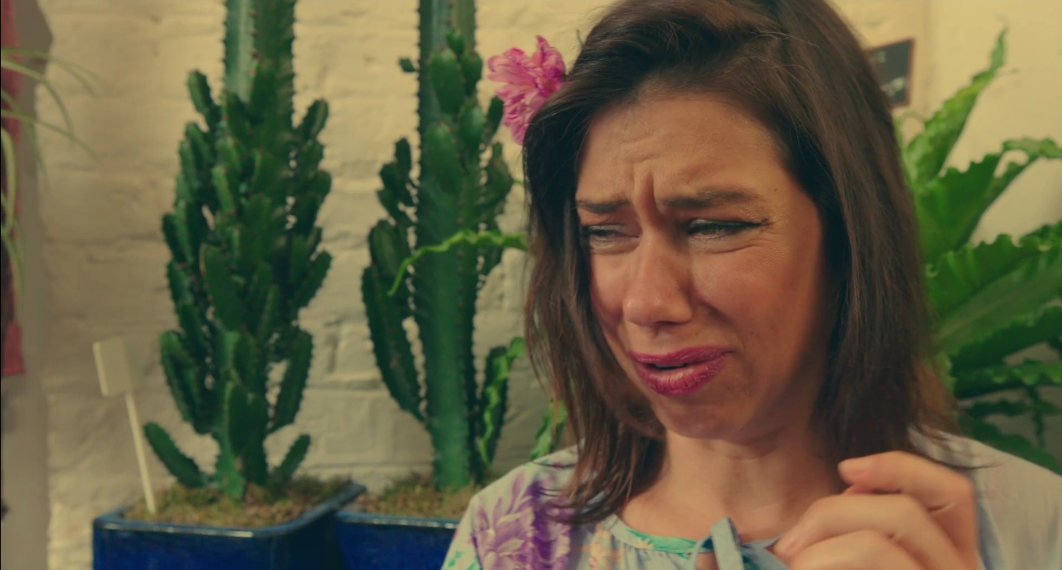 Picture of Elderflower