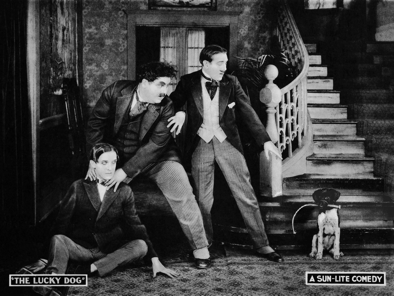 Picture of The Lucky Dog